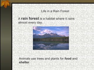 Land habitats (science) | PPT