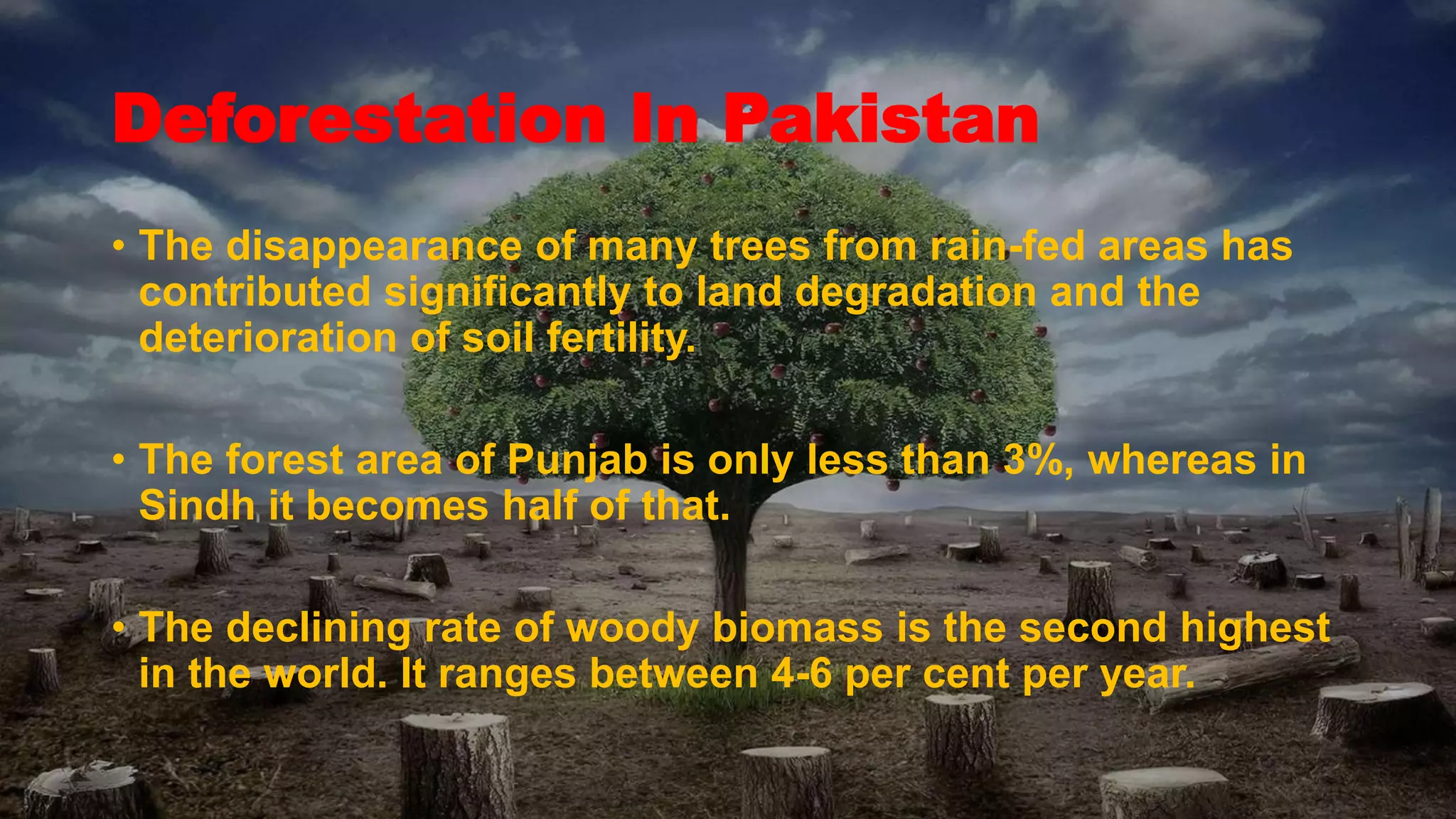 LAND Issues in PAKISTAN | PPTX