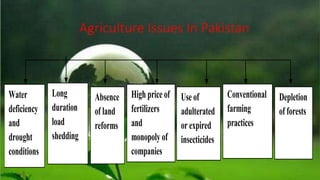 LAND Issues in PAKISTAN | PPTX