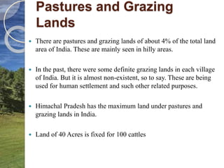 Pasturage Land | PPT