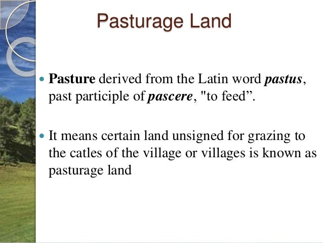 Pasturage Land