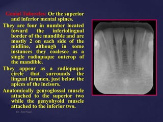 anatomical Landmarks | PPTX