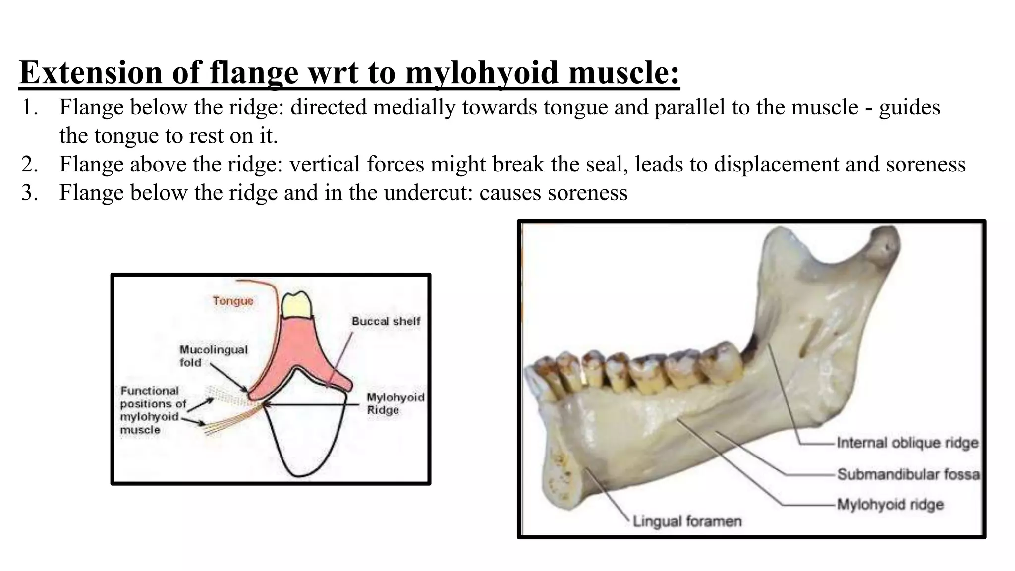Landmarks of mandible | PPTX