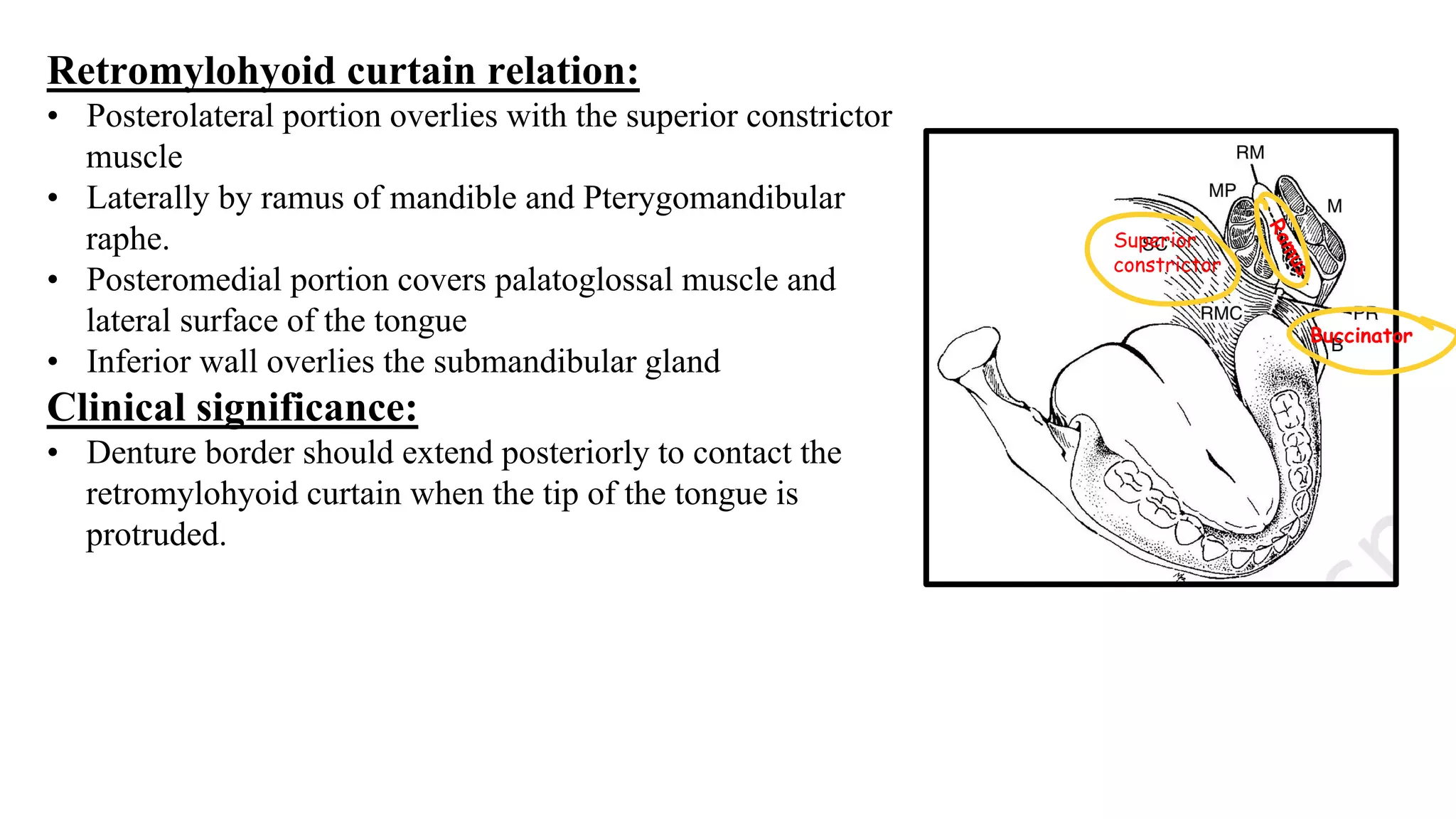 Landmarks of mandible | PPTX