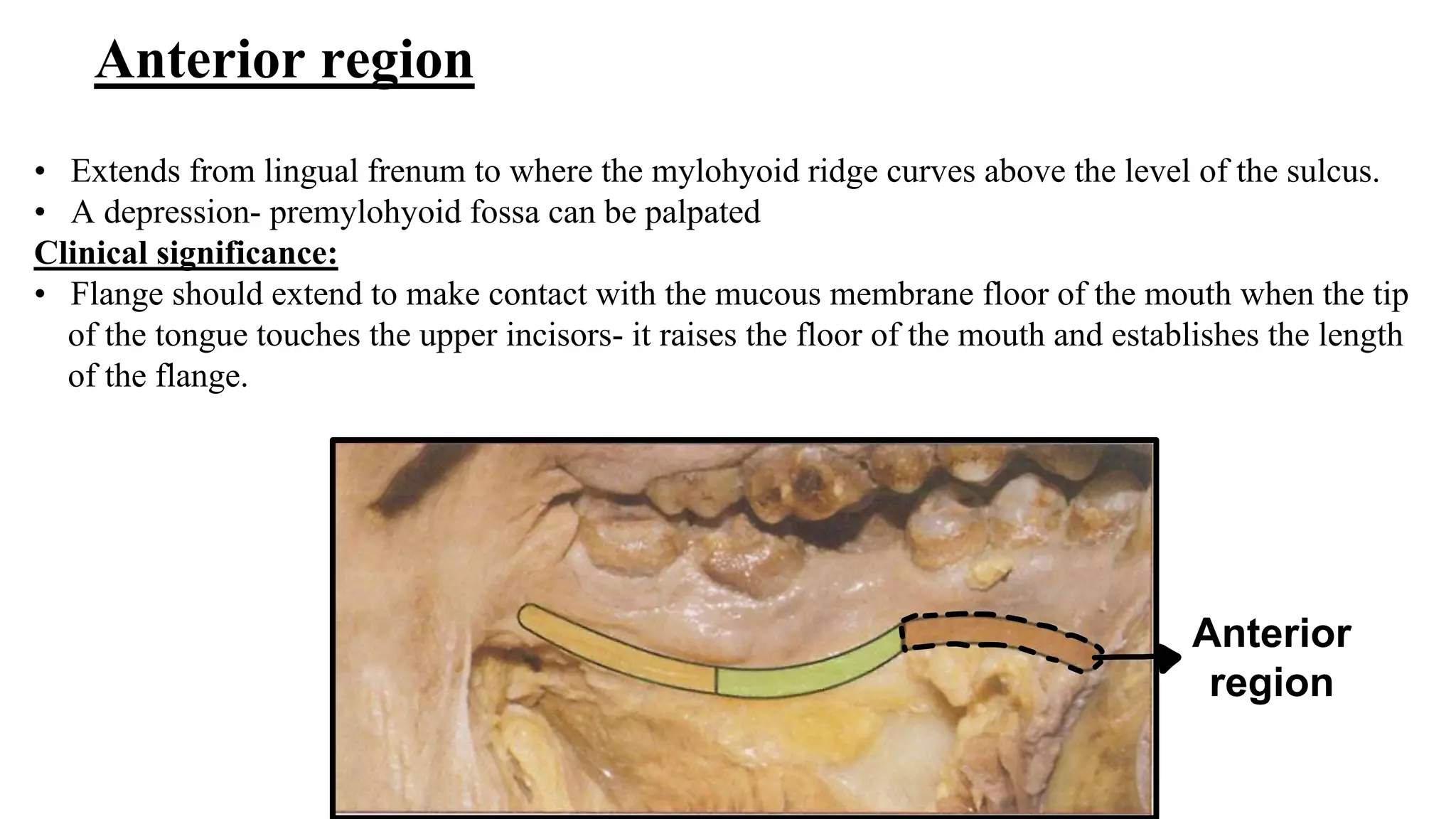 Landmarks of mandible | PPTX