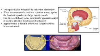 Landmarks of mandible | PPTX