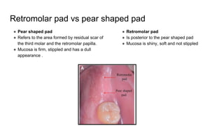 Landmarks of mandible | PPTX
