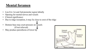 Landmarks of mandible | PPTX