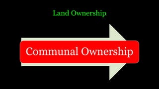Land Ownership | PDF