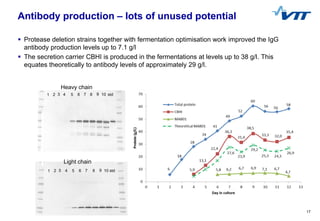 Next generation biotherapeutics production system Trichoderma reesei | PDF