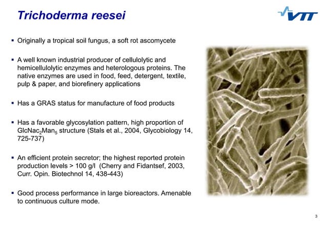Next generation biotherapeutics production system Trichoderma reesei | PPT