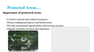 Land Policies and Protected areas .pptx