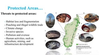 Land Policies and Protected areas .pptx