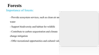 Land Policies and Protected areas .pptx
