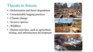 Land Policies and Protected areas .pptx