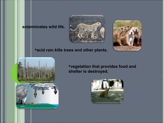 landpollution-130212052525-phpapp01.pdf