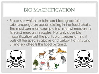 LAND POLLUTION | PPTX