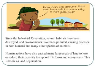 Sources Of Land Pollution Cartoon