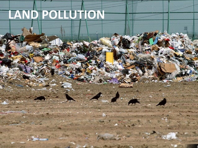 Land pollution | PPT