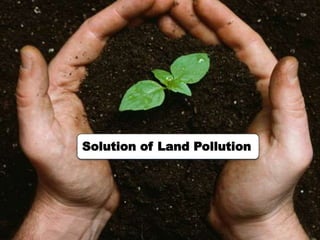 Solution Of Land Pollution