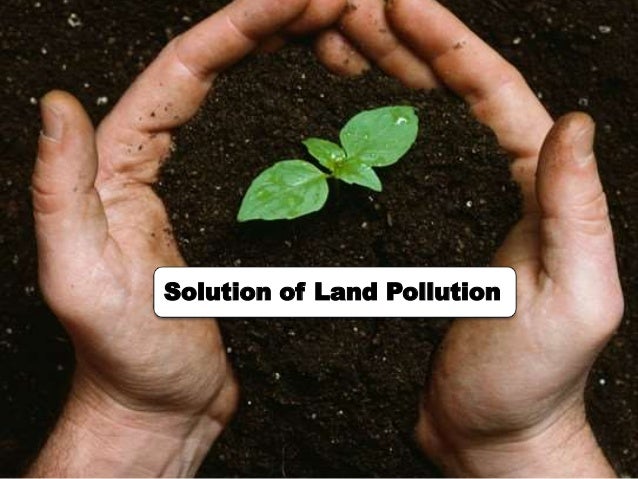 To Land Pollution Solutions