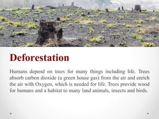 Land pollution | PPTX