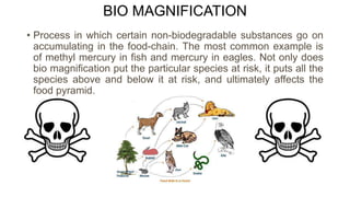 LAND POLLUTION.pptx | Indoor Environmental Quality | Home & Garden
