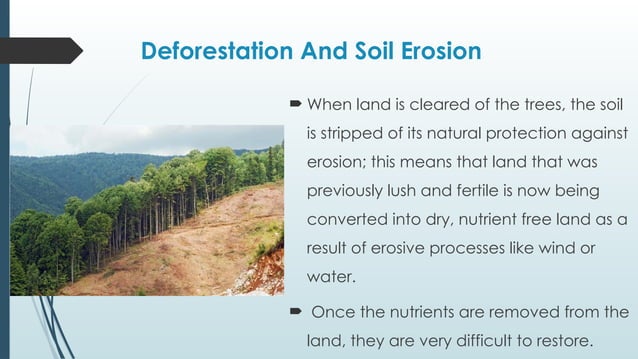 Land Pollution PowerPoint Presentation HS | PPTX