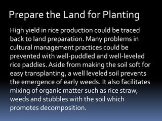 land prep.pptx