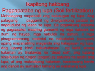 Land preparation.pptx