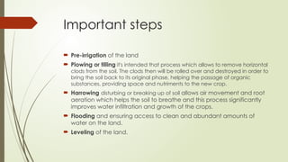 Agricultural activities and LAND PREPARATION.pptx