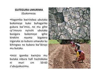 Land preparation and potato planting | PDF