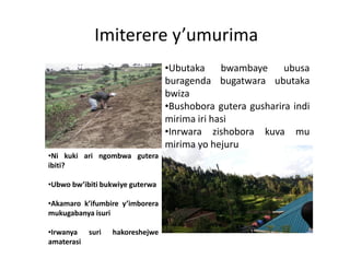 Land preparation and potato planting | PDF