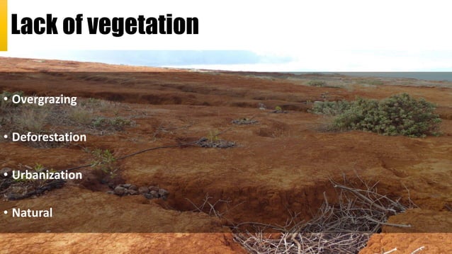 Land resources , soil erosion and land degradation | PPT