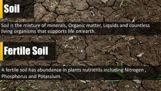 Land resources , soil erosion and land degradation | PPTX