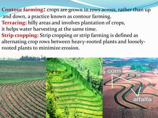 Land resources(1) | PPTX