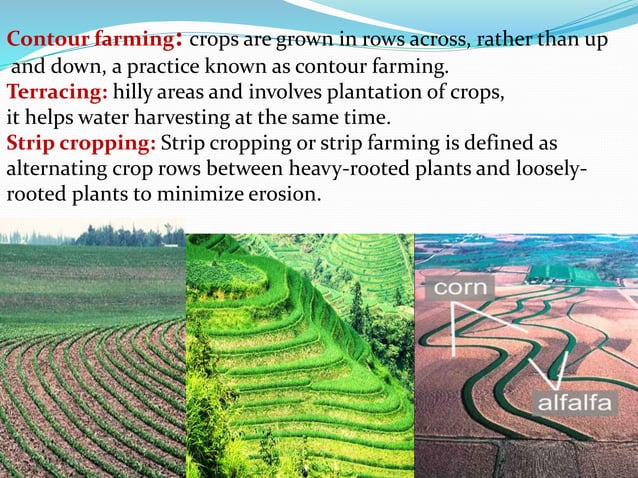 Land resources(1) | PPTX