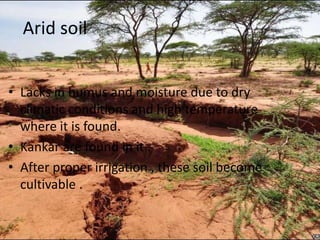 Land resources and soil | PPSX