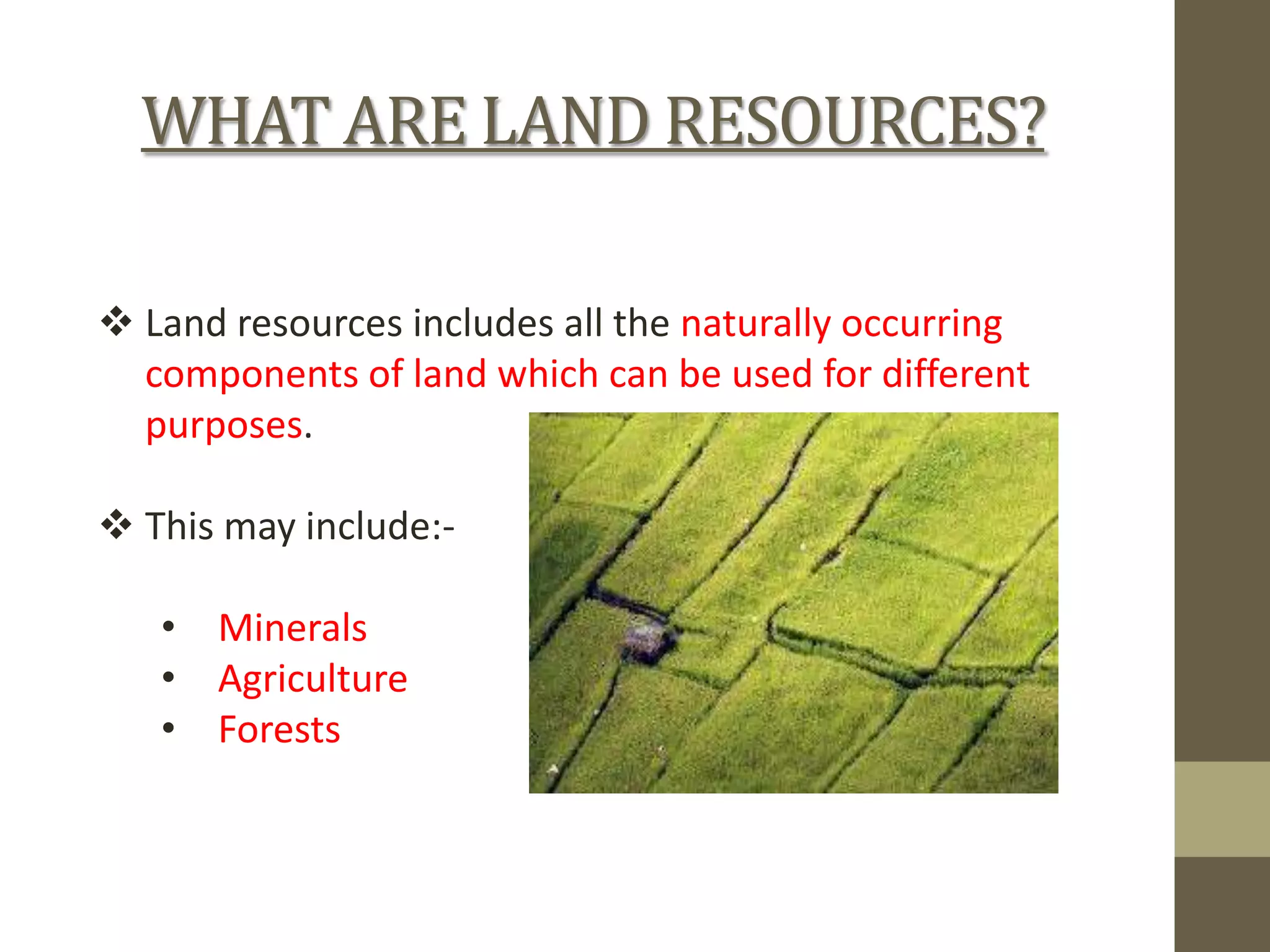 Land resources (forest and minerals) & biodiversity | PPTX ...