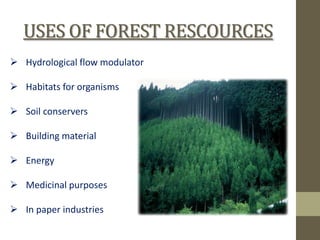 Land resources (forest and minerals) & biodiversity | PPTX