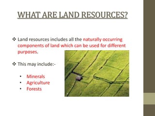 Land resources (forest and minerals) & biodiversity | PPTX