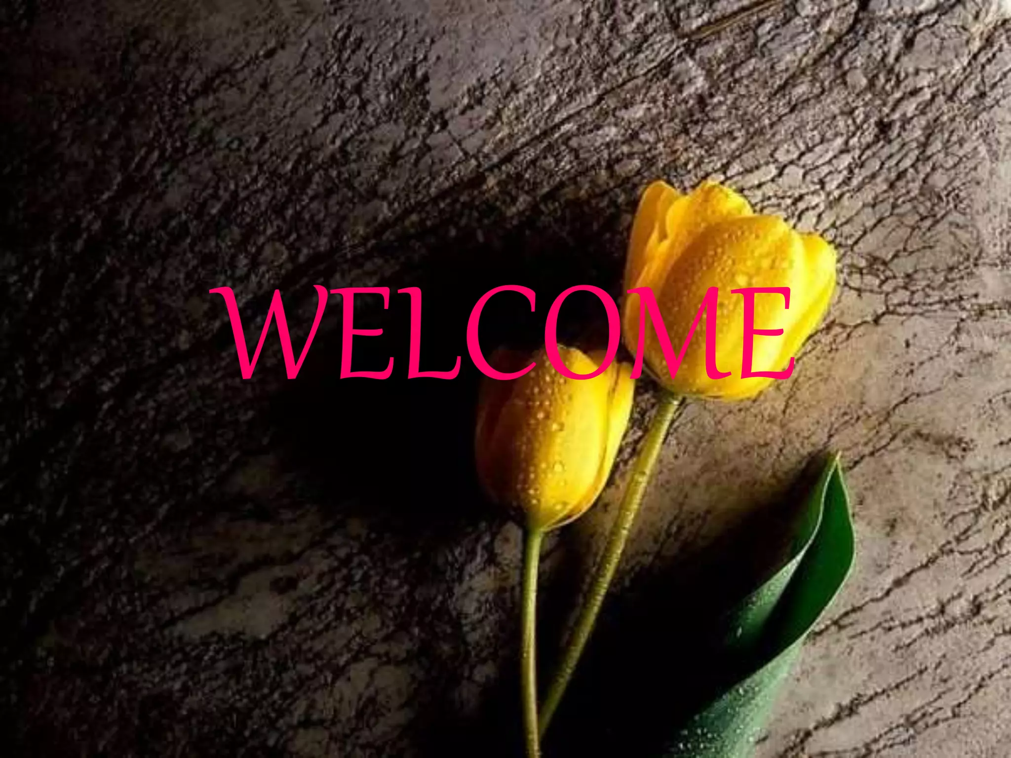 Land revenue system | PPTX