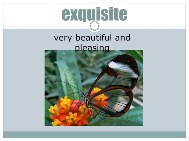 Oxford Discover 6- unit 1 words | PPTX | Zoos & Aquariums | Attractions