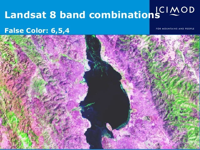 Band Combination of Landsat 8 Earth-observing Satellite Images