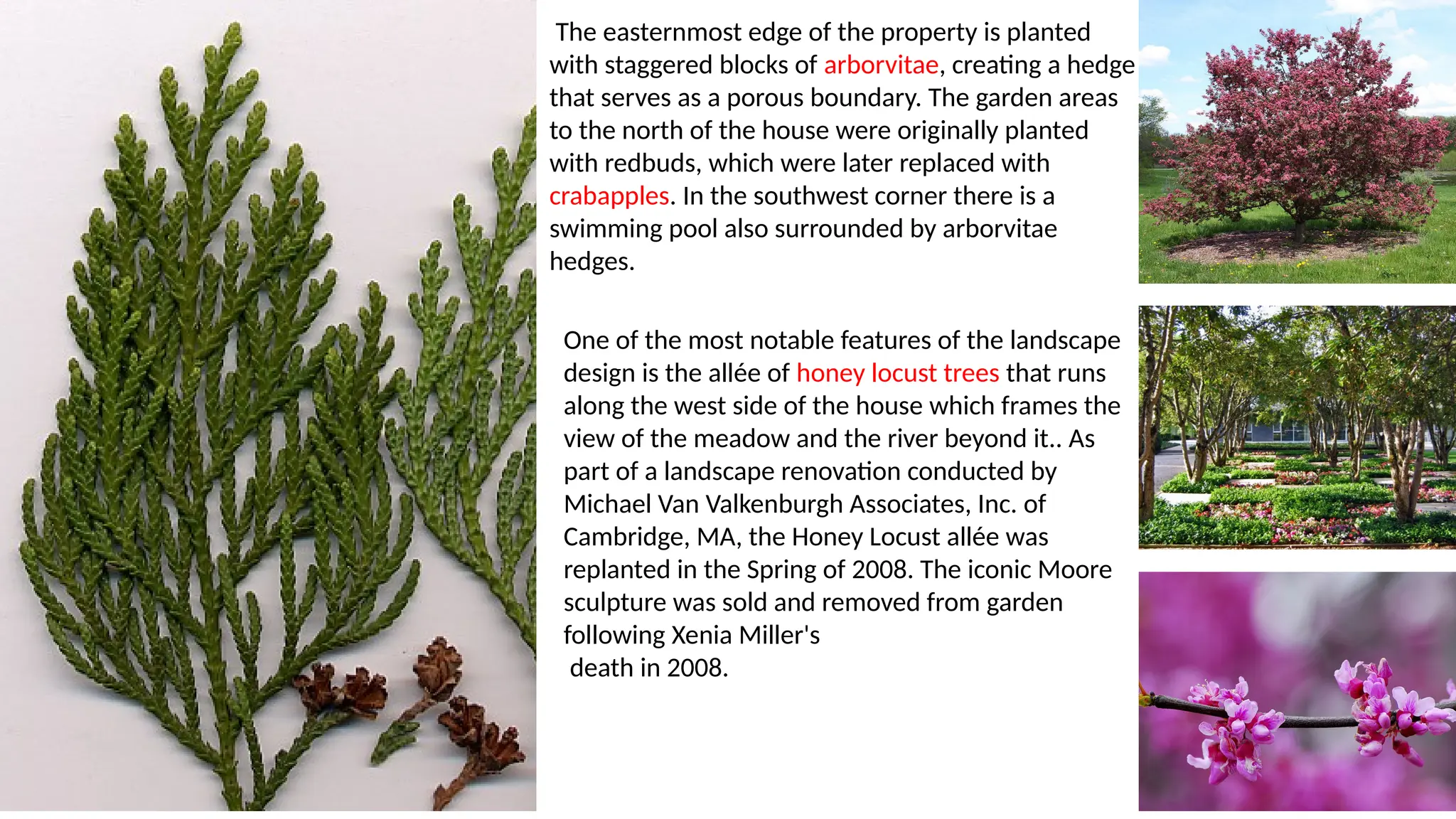 landscape design case study of landscape architecture | PPTX