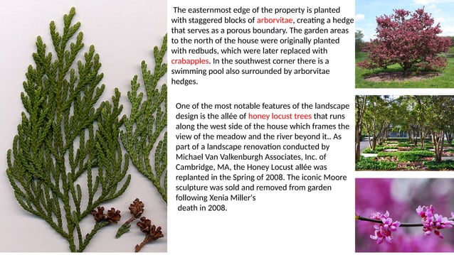 landscape design case study of landscape architecture | PPTX ...