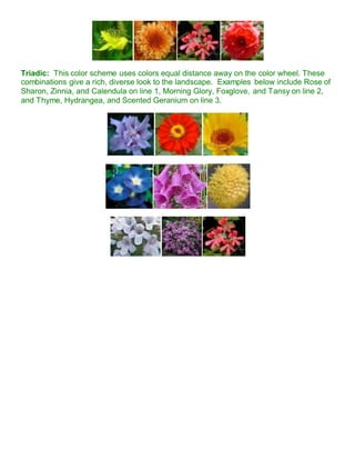 Colors- the beauty of a Landscape | DOCX