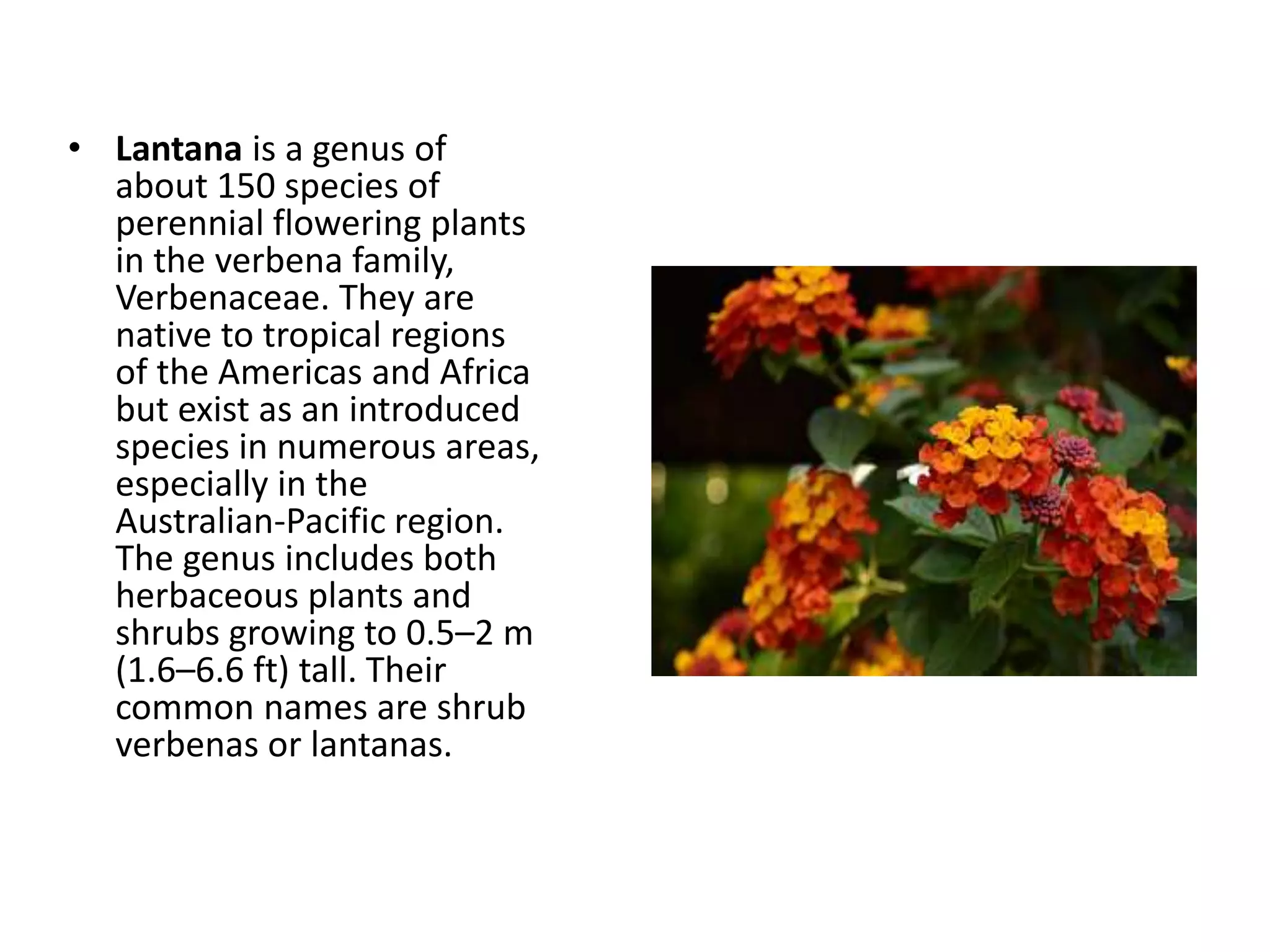 Land scape and its types | PPTX