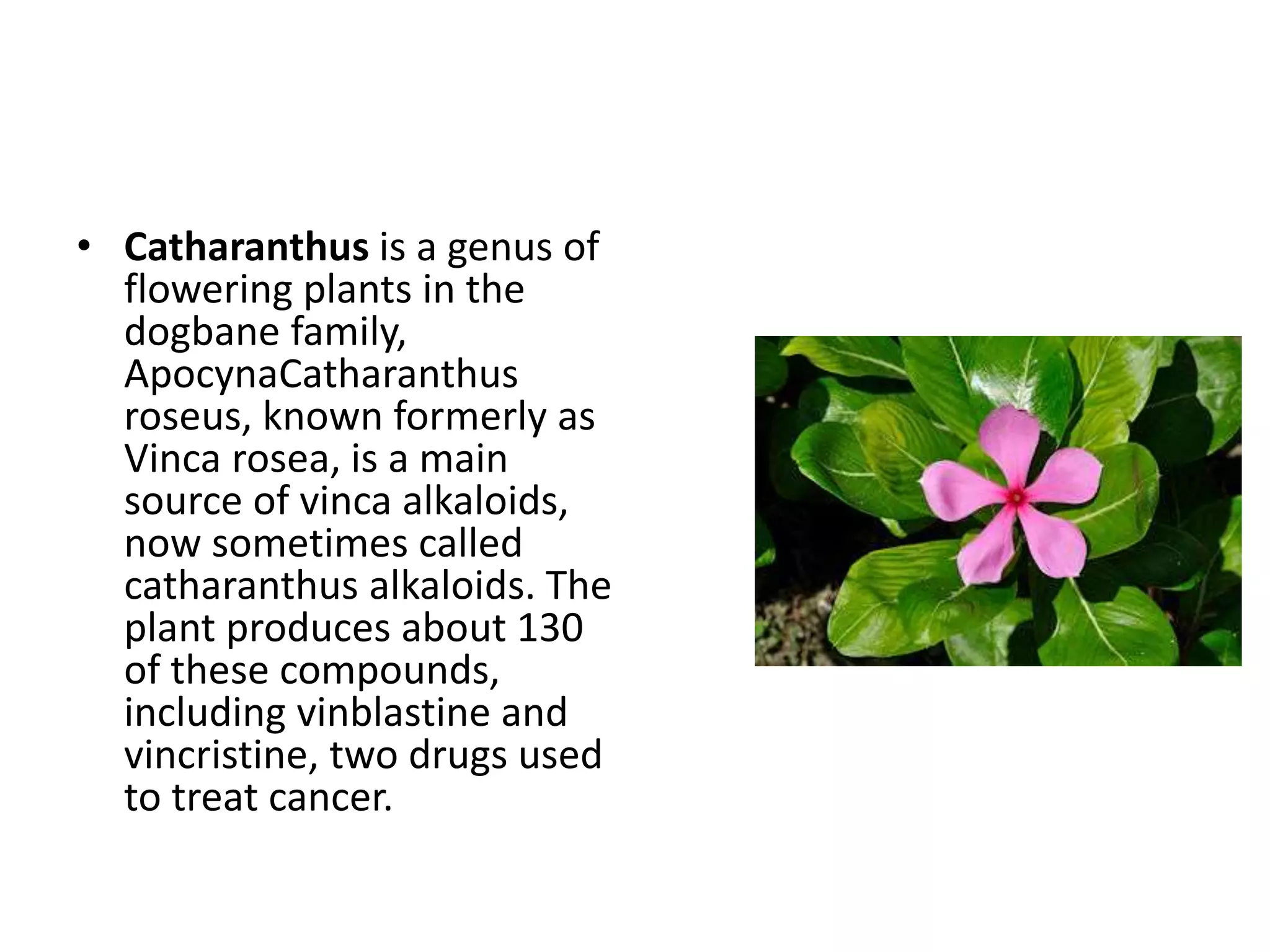 Land scape and its types | PPTX