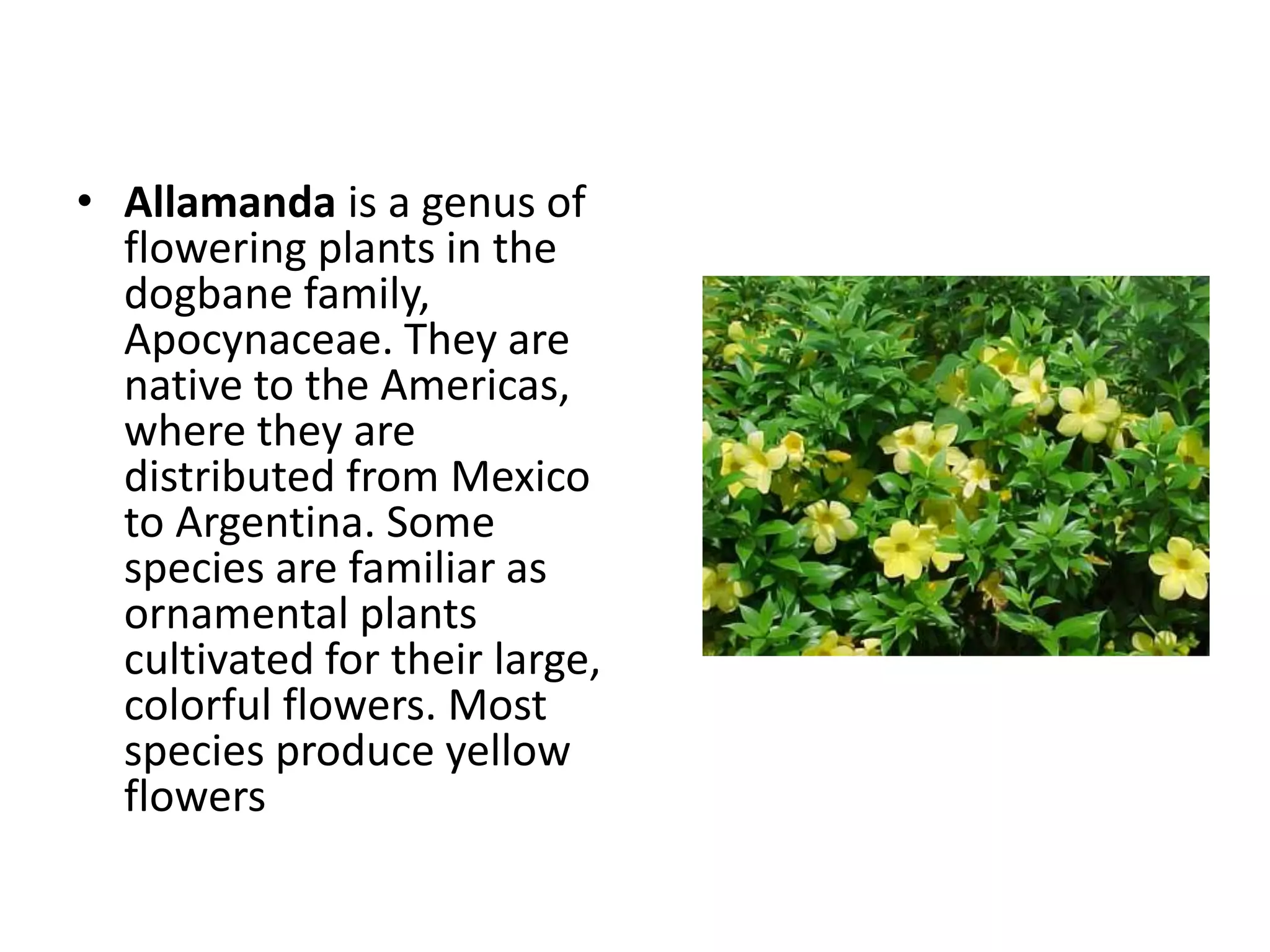 Land scape and its types | PPTX